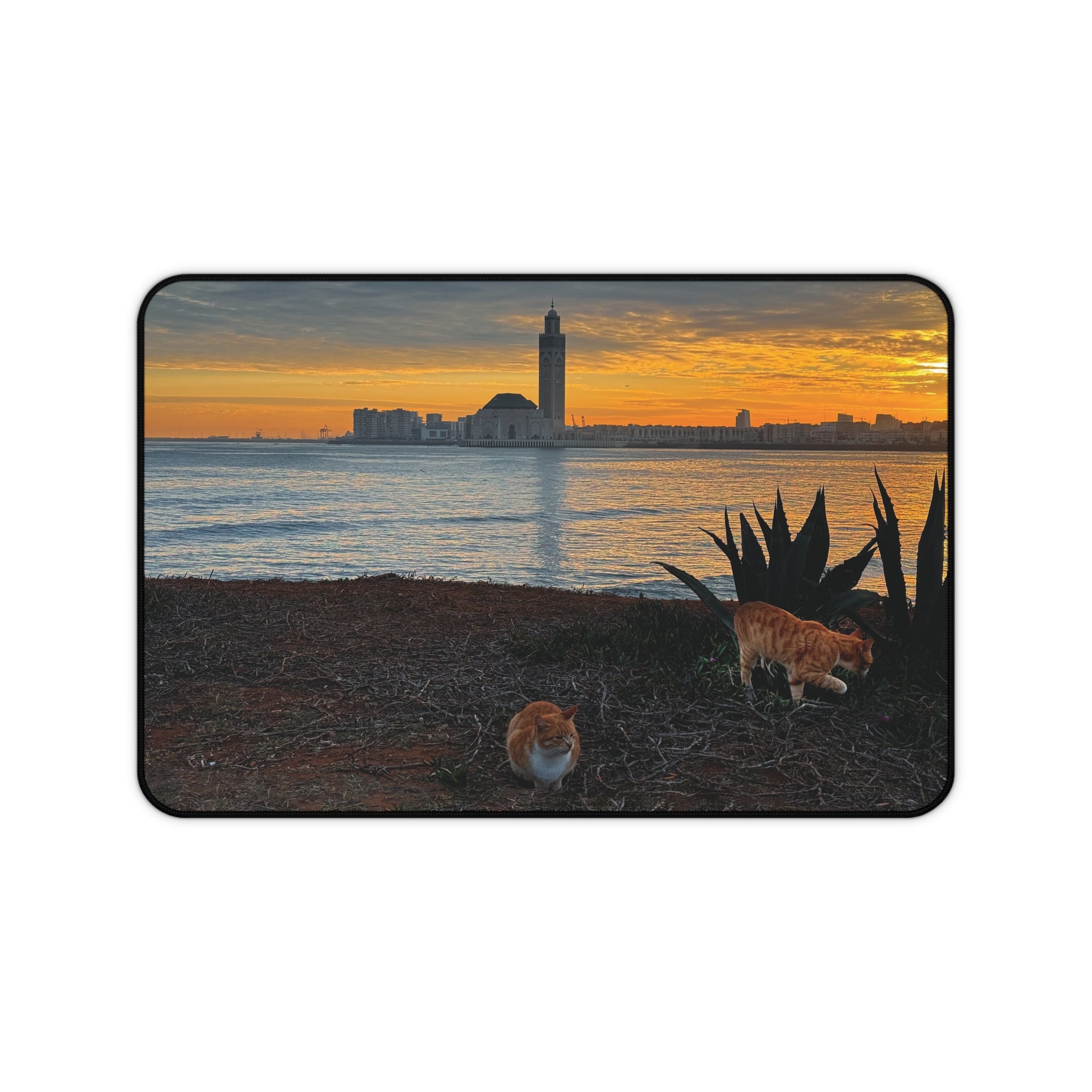 Desk Mat - Moroccan Cats at Hassan II Mosque – The Cat Canvas